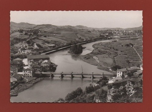 Behobia - the Bridge International - THE ISLAND OF Pheasants And ...