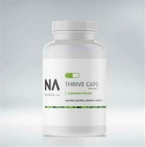 Thrive Tabs NilocG Aquatics 60 Caps All In One Fertilizer Aquarium ...