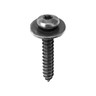 50 TORX Pan Head SEMS Tap Screws With Dog Point For GM 11570637 | eBay