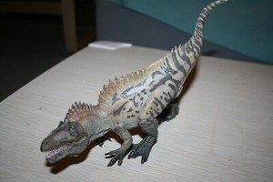 Animax | eBay Stores