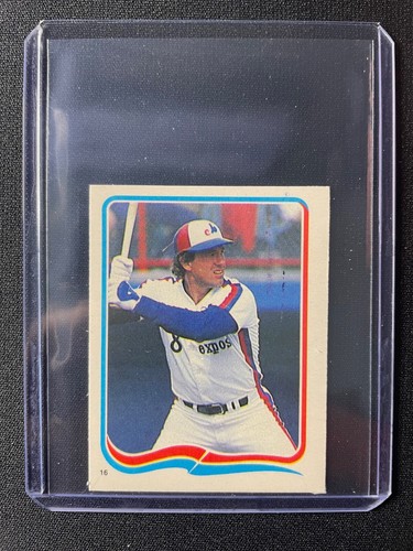 1985 Fleer Star Stickers Gary Carter #16 Expos!!! | eBay