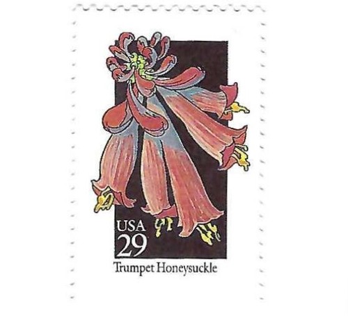 STAMP US SCOTT 2683 "Wild Flowers Trumpet Honeysuckle" 29 CENT 1992 MNH ...