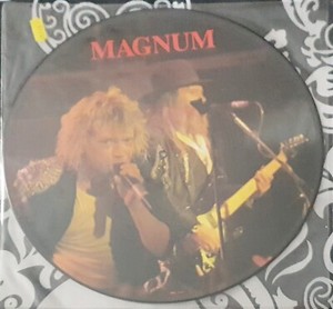 Magnum Picture Disc for sale | eBay