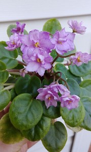 Ynot-and-now | eBay Stores