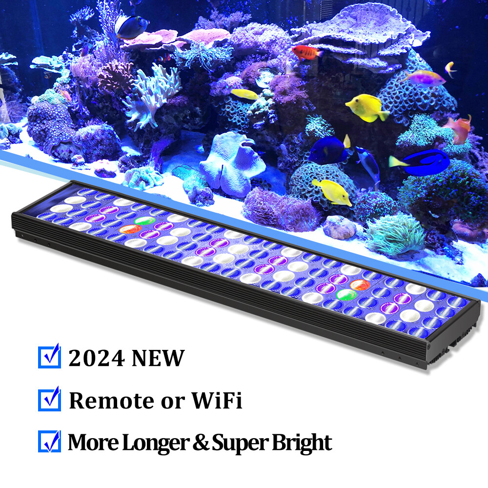 Aquarium Lighting Types