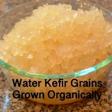 Kefir Health Australia | eBay Stores