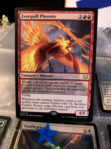 MTG Everquill Phoenix Ikoria: Lair of Behemoths 114/274 Regular Rare | eBay