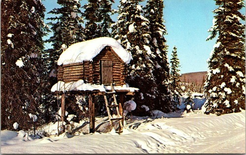 Raised Food Cache in the Forest of Alaska Vintage Postcard | eBay