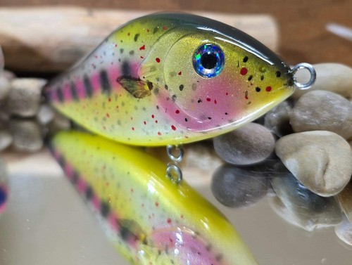 Muskie Slider Liples Trout | eBay