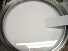 Acrylic Enamel Automotive Paint Kit for sale | eBay