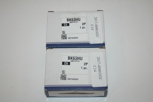 (Lot of 2) LSis BK63HU C1A 2-Pole Circuit Breakers 1A 480Y/277v ...