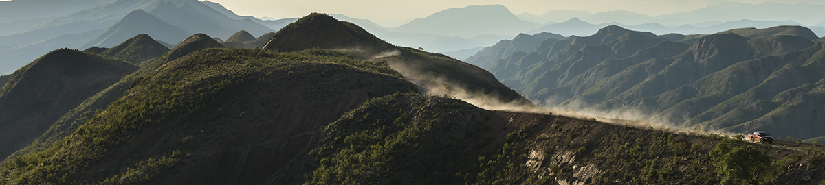 ELEVEN MONKEYS | eBay Stores