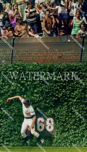 GL34 Rick Monday Chicago Cubs Baseball 8x10 11x14 16x20 Colorized Photo ...