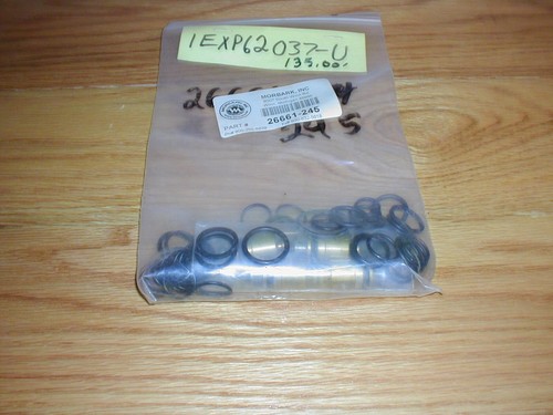 Boxer mini-skid 26661-245 seal and valve kit, new OEM part | eBay