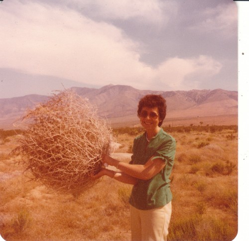 vintage color photo woman holding giant tumbleweed tumble weed desert ...