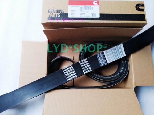 1PCS New FOR 3103836 Fan Belt | eBay