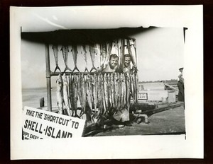 jhustle1 | eBay Stores