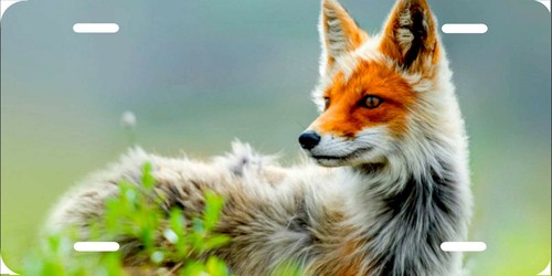 Fox License Plate New Car Tag Metal Aluminum | USA