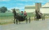 Postcard Amish Courting Buggies Pennsylvania | eBay
