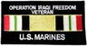 DESERT STORM IRAQI FREEDOM VETERAN W/ CAMPAIGN RIBBONS PATCH ODS OIF ...